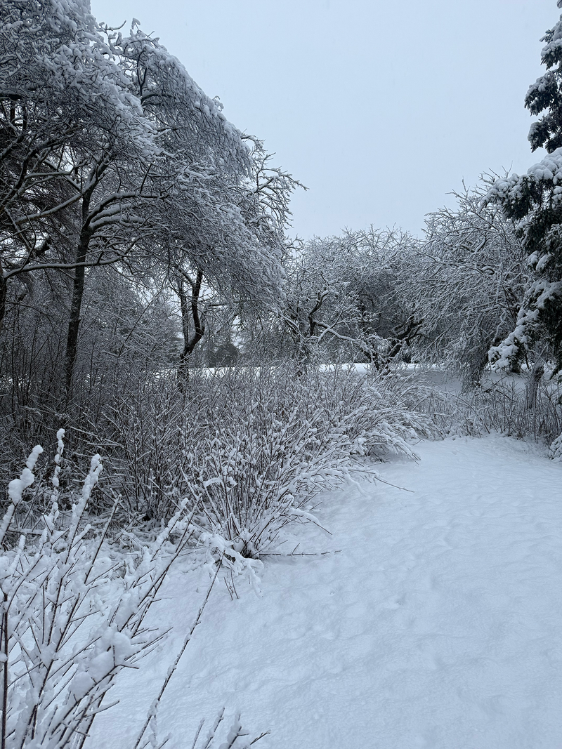 Winter was made for the makers. – Deanne Fitzpatrick Rug Hooking Studio