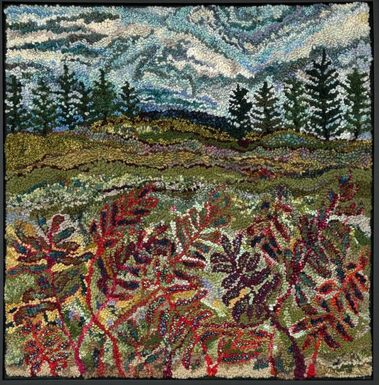 Original Rugs – Deanne Fitzpatrick Rug Hooking Studio