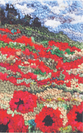 Poppies Pattern Book - Four Great Patterns: Full Colour, 16 pages ...